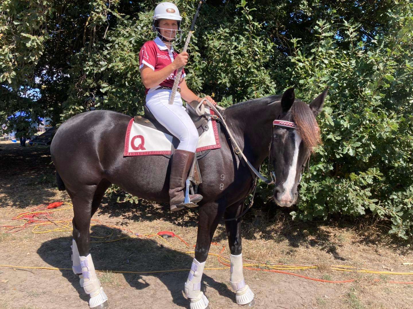 Best horse riding books | beginners guide to horse riding | GeeeWizzz