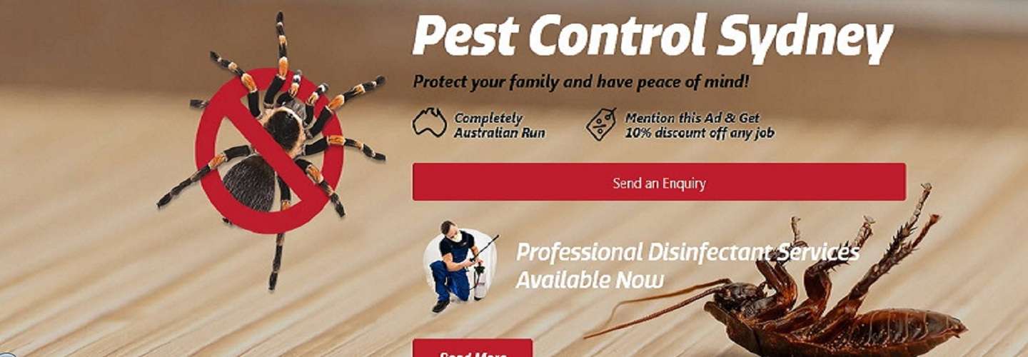 Bug Free Pest Control | GeeeWizzz